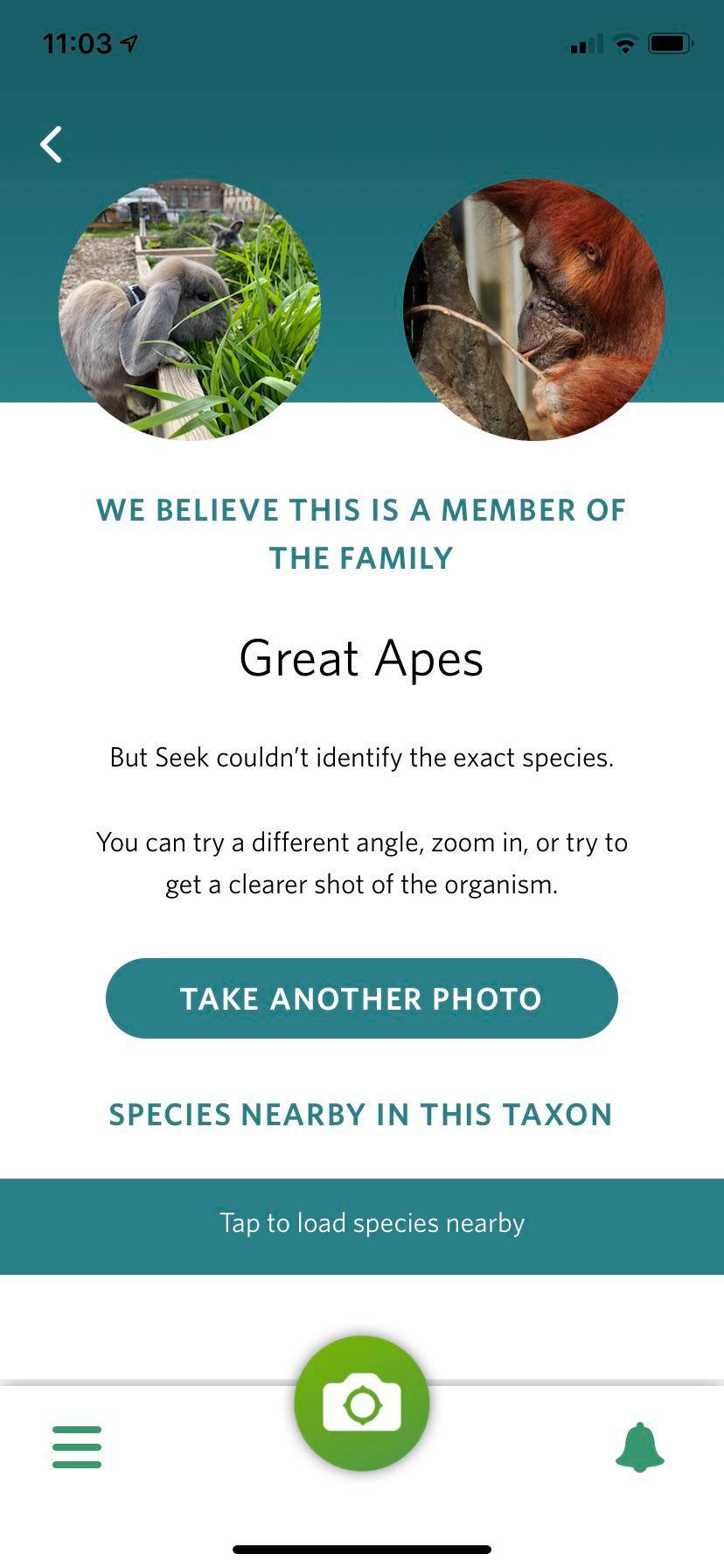 Plant identification fail | Scrolller