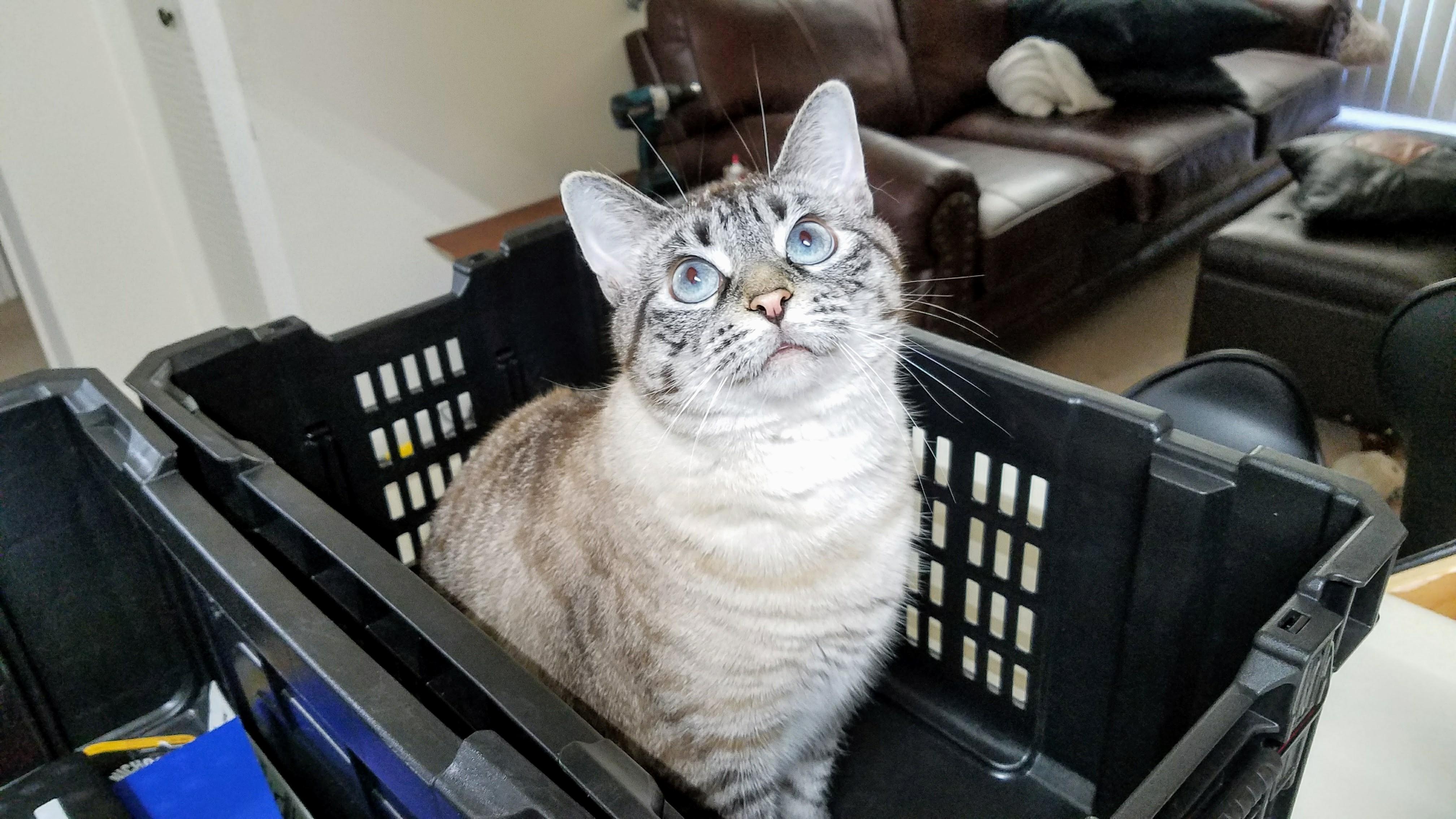 Plastic boxes are still boxes right? | Scrolller