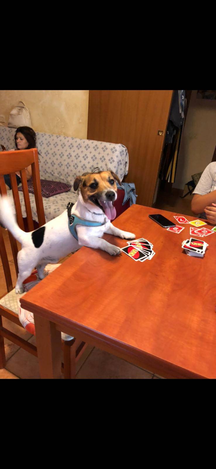 Playing cards... | Scrolller