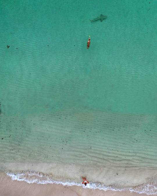 Playing fetch at Miami Beach | Scrolller