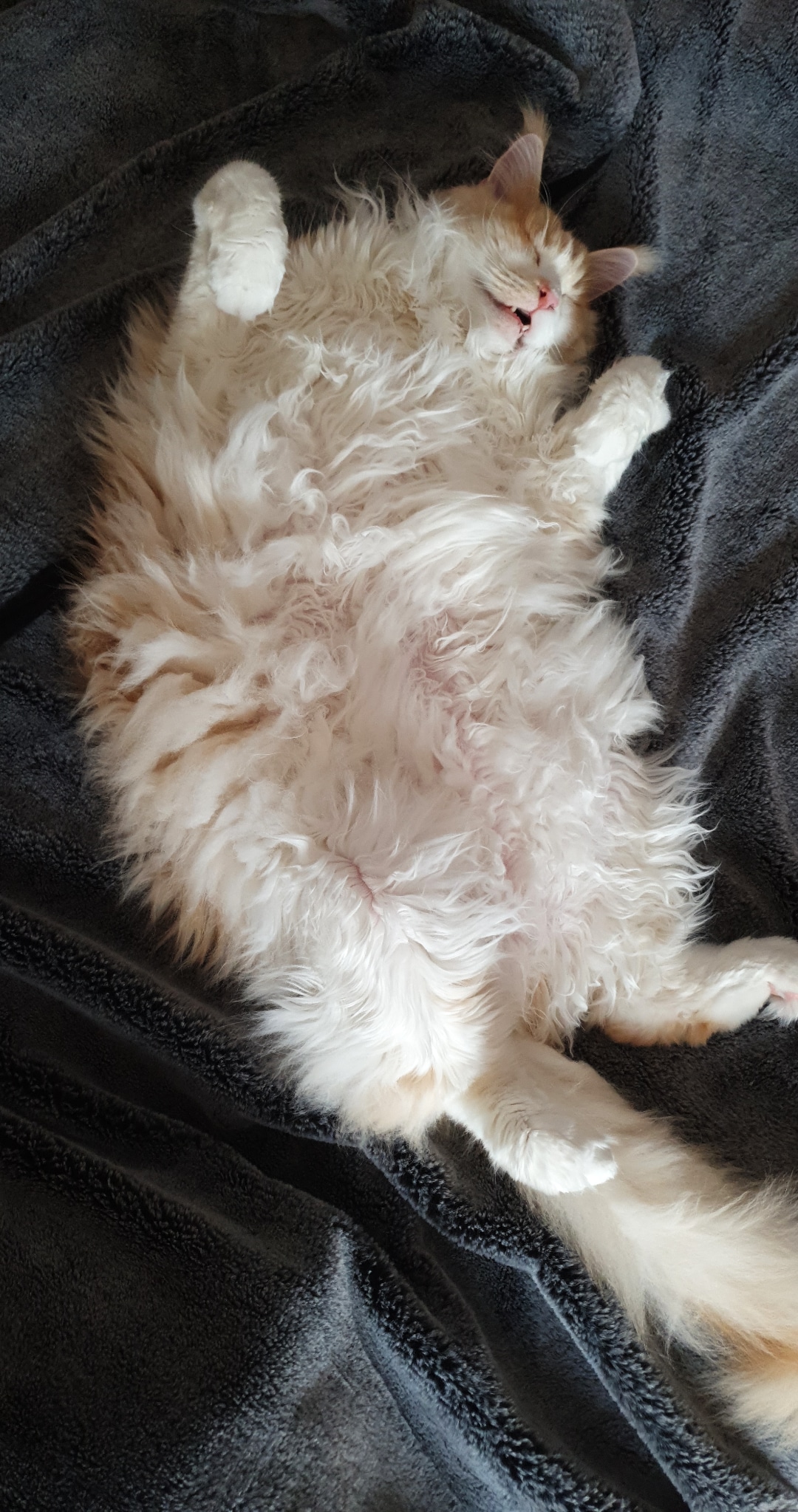 Please be gentle | Scrolller