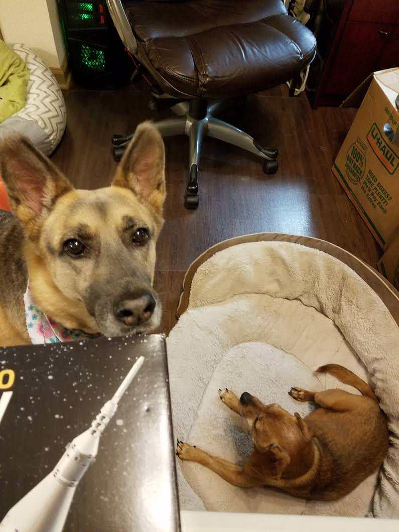 Please help | Scrolller