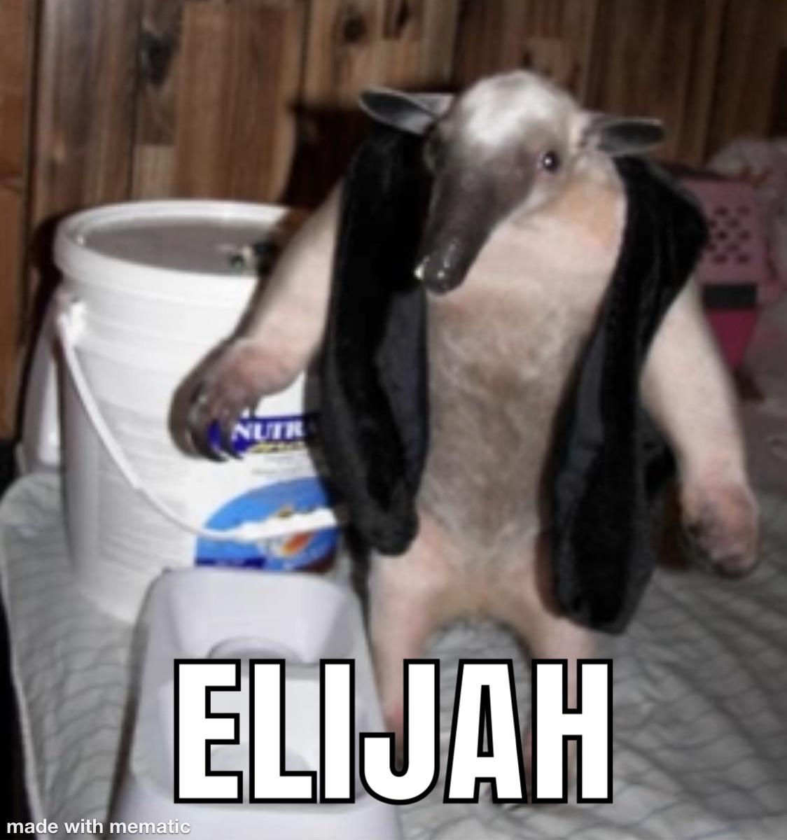 Please laugh, now | Scrolller