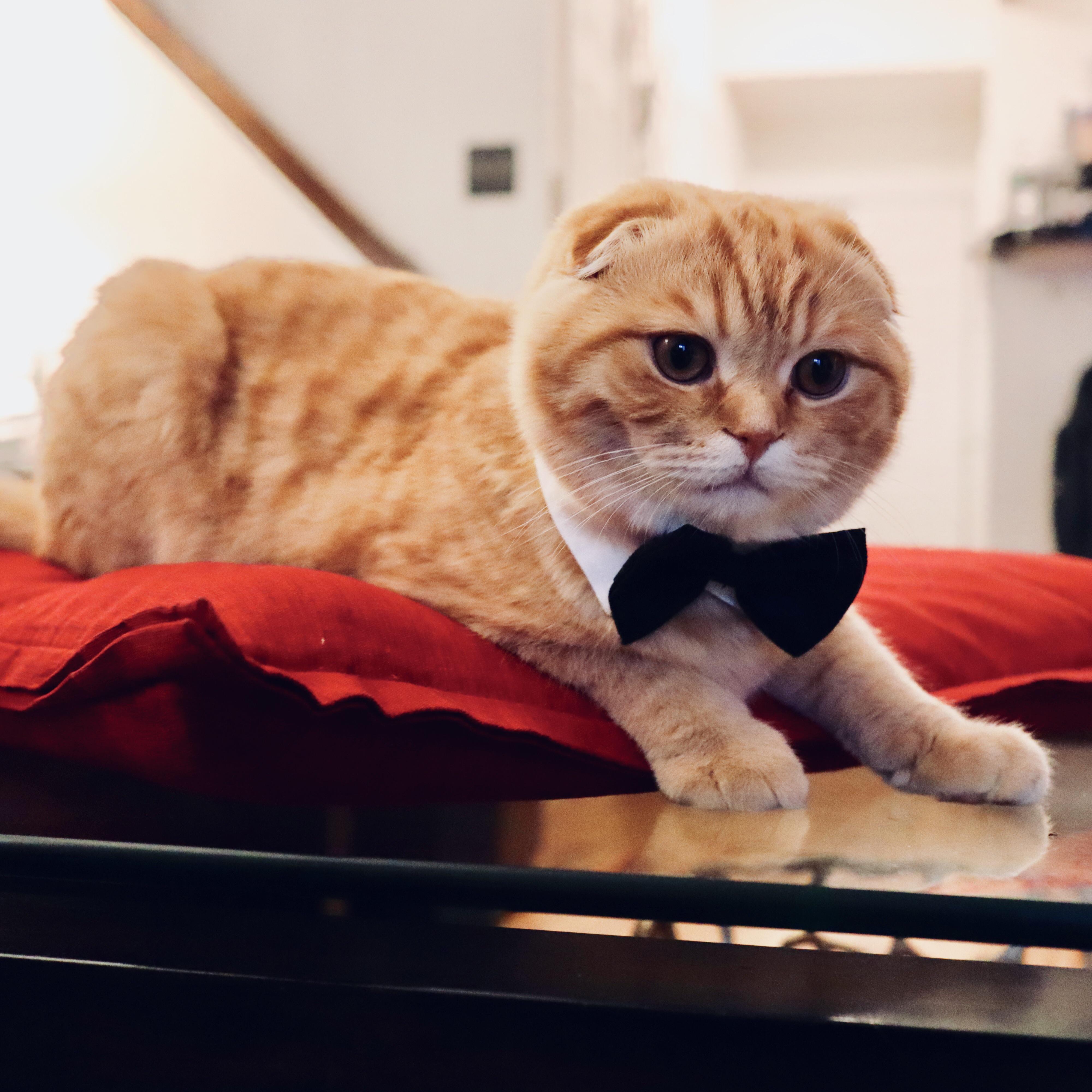 Please meet @elleandteddy ! | Scrolller