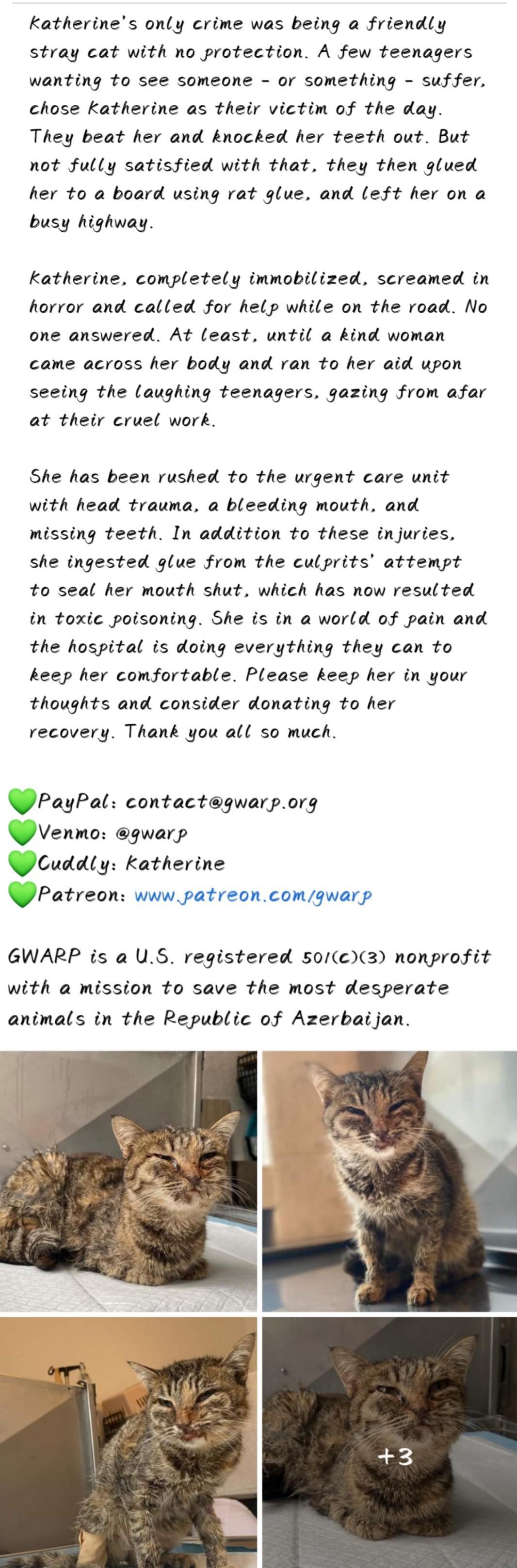 Please Noah | Scrolller