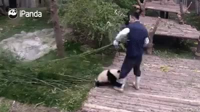 Please Play With Me!!! | Scrolller