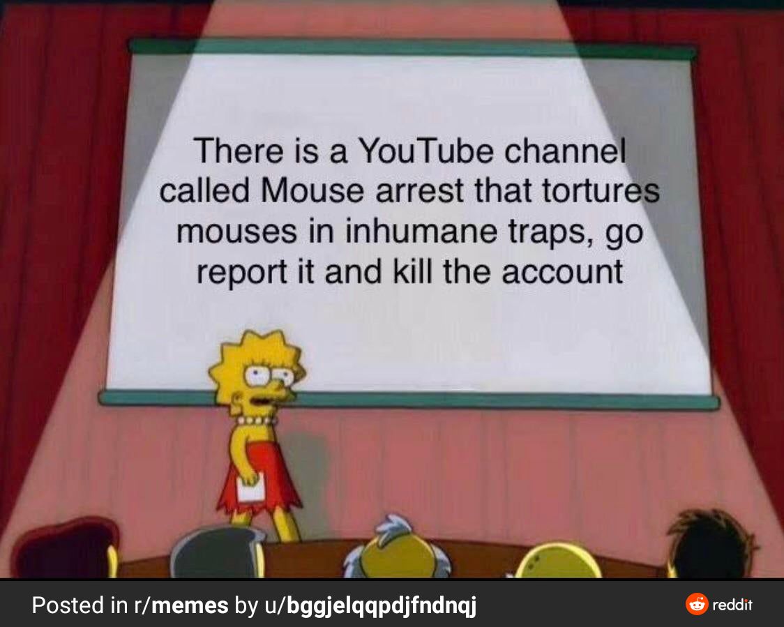 Please report the guy | Scrolller