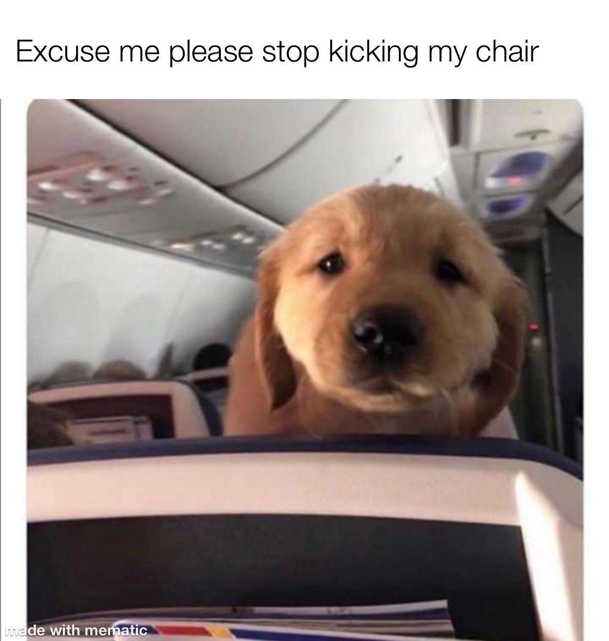 Please stop | Scrolller