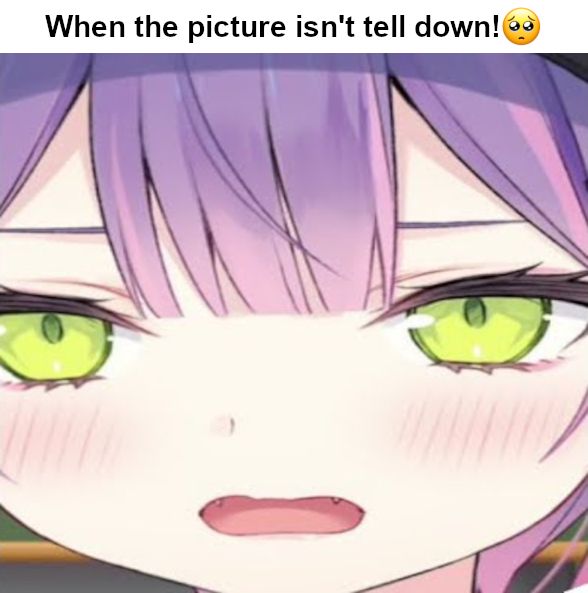 Please tell down picture 🥺 | Scrolller