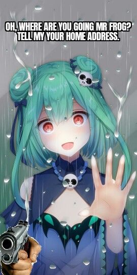 Point of view of Mr Frog | Scrolller