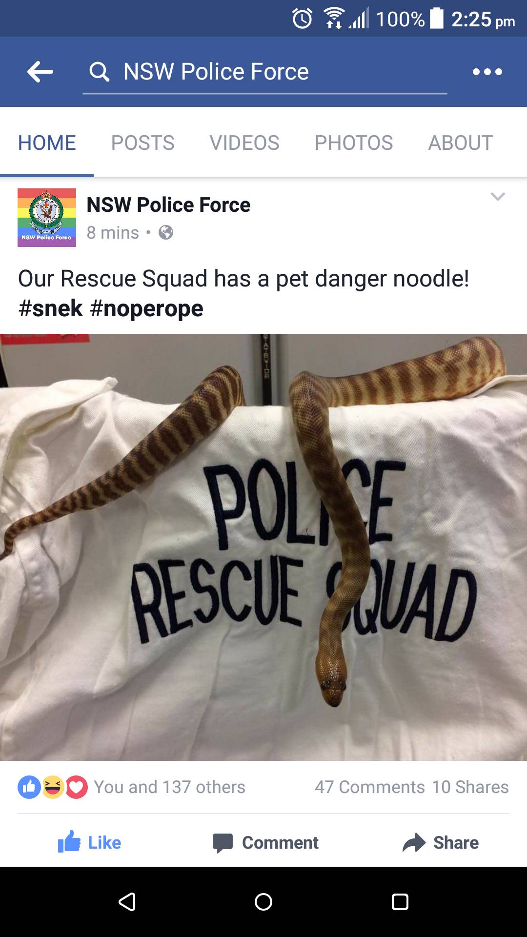 Police snek ready for action | Scrolller
