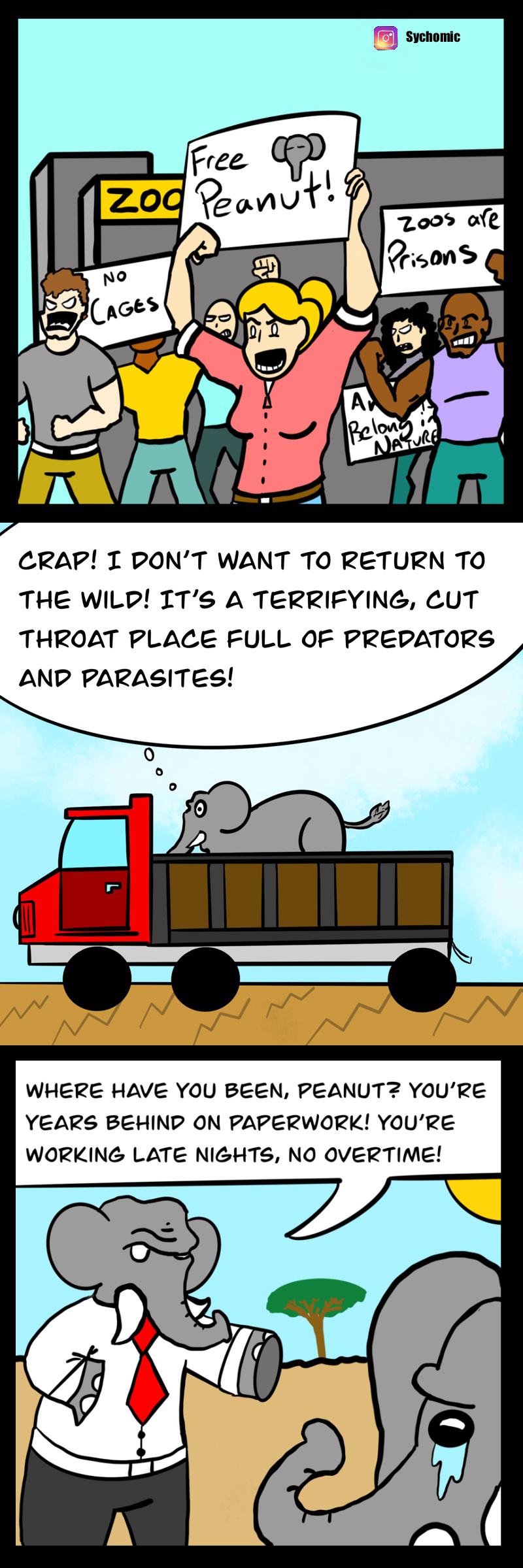 Poor guy | Scrolller