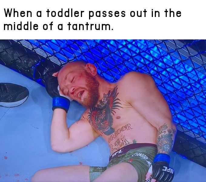 Poor little guy | Scrolller