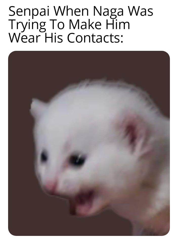 Poor Senpai (Spoiler) | Scrolller