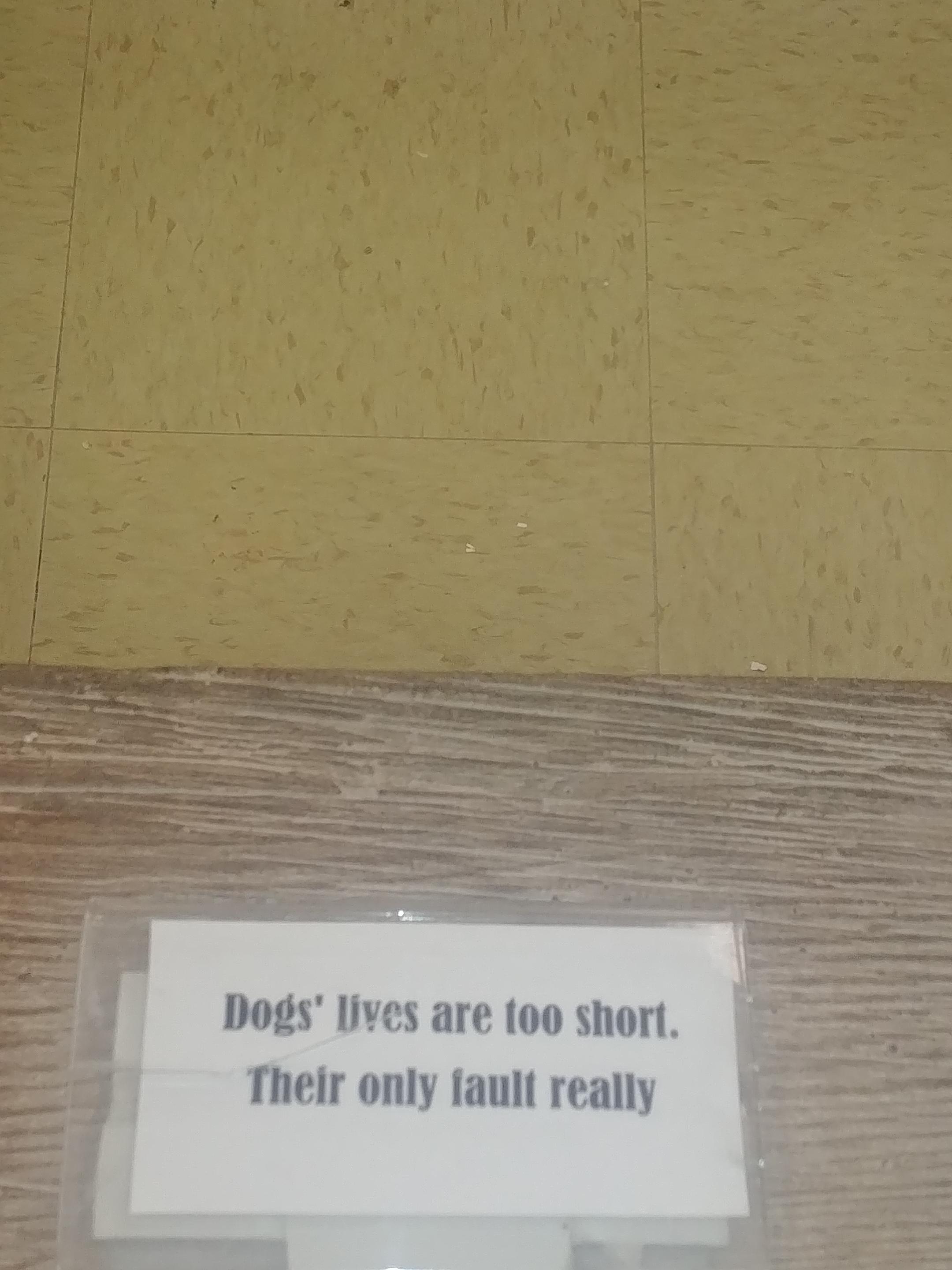 Poor WAS a dog | Scrolller