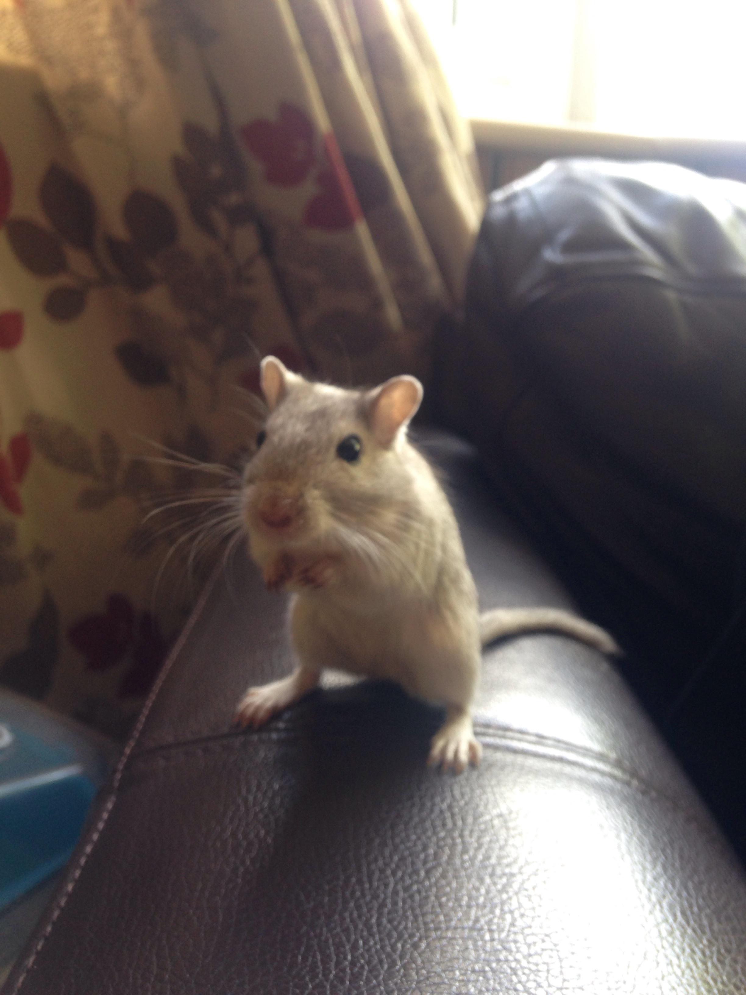 Posing for the camera | Scrolller