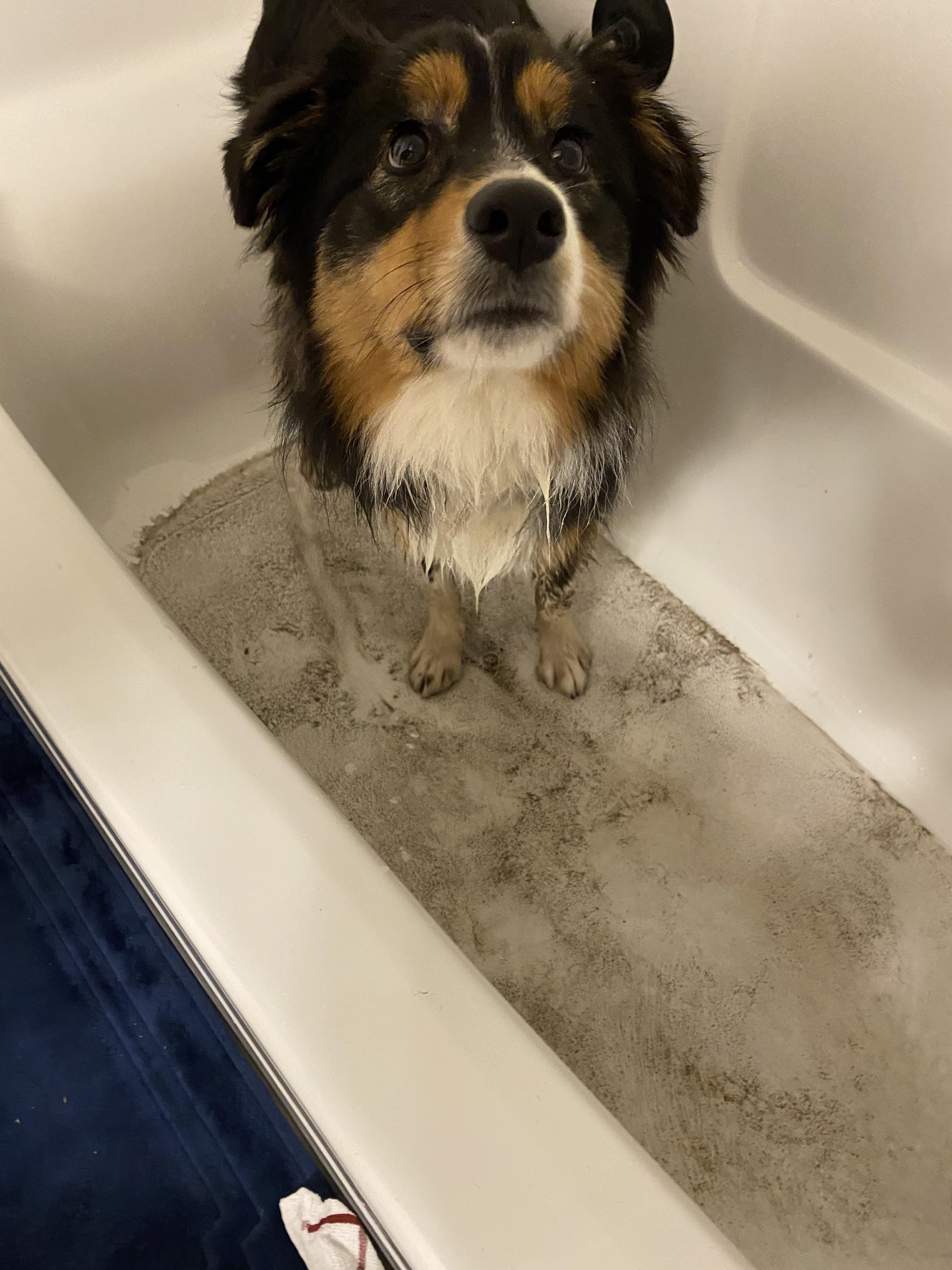 Post adventure bath time | Scrolller