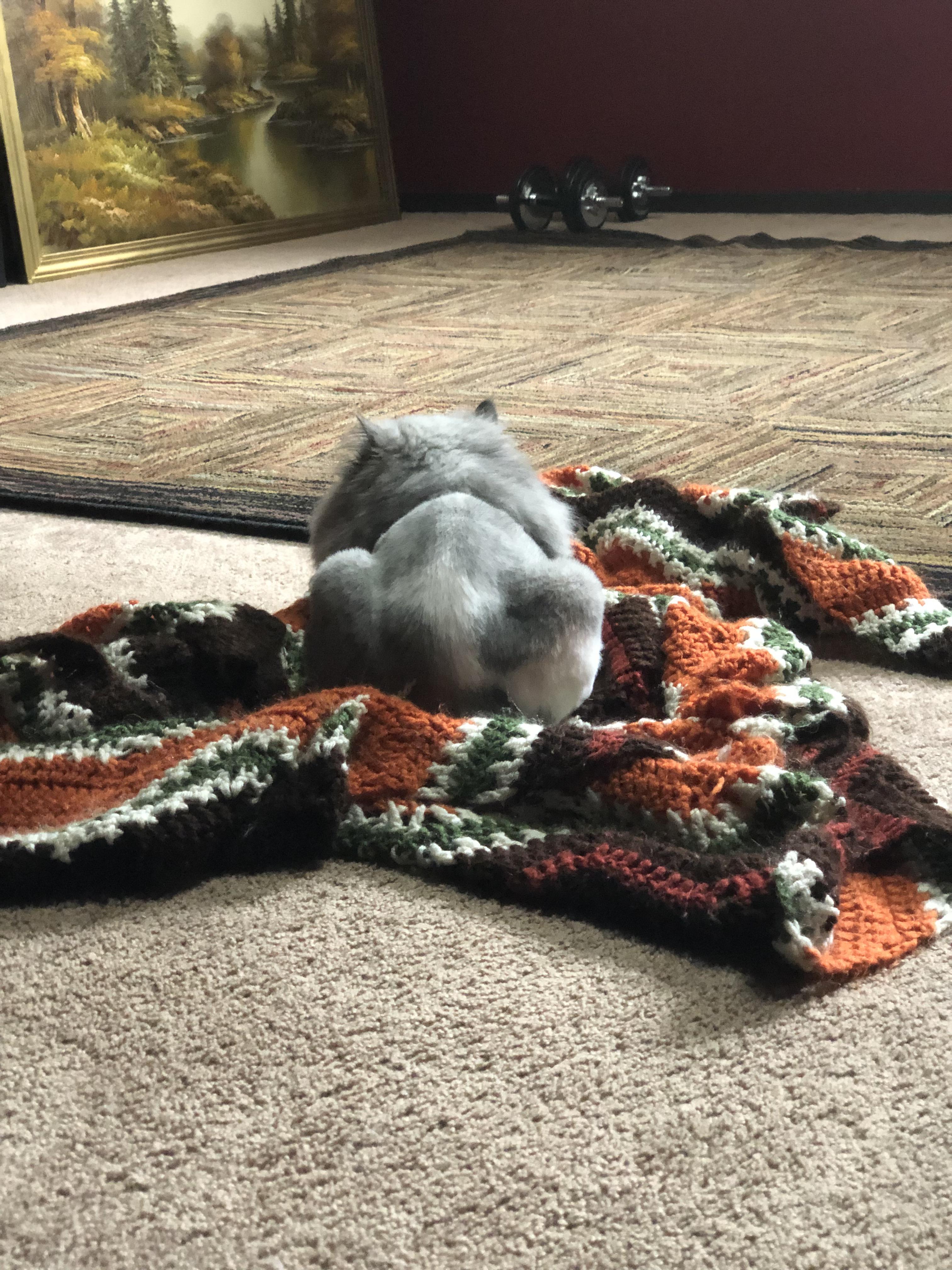 Post haircut loaf | Scrolller