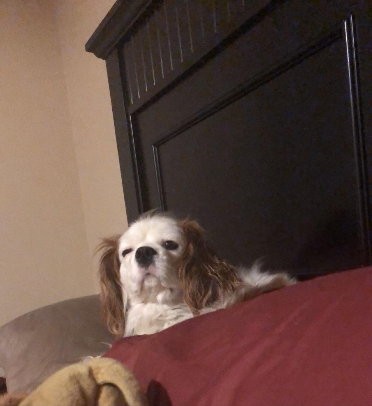 Post-nap Lady | Scrolller