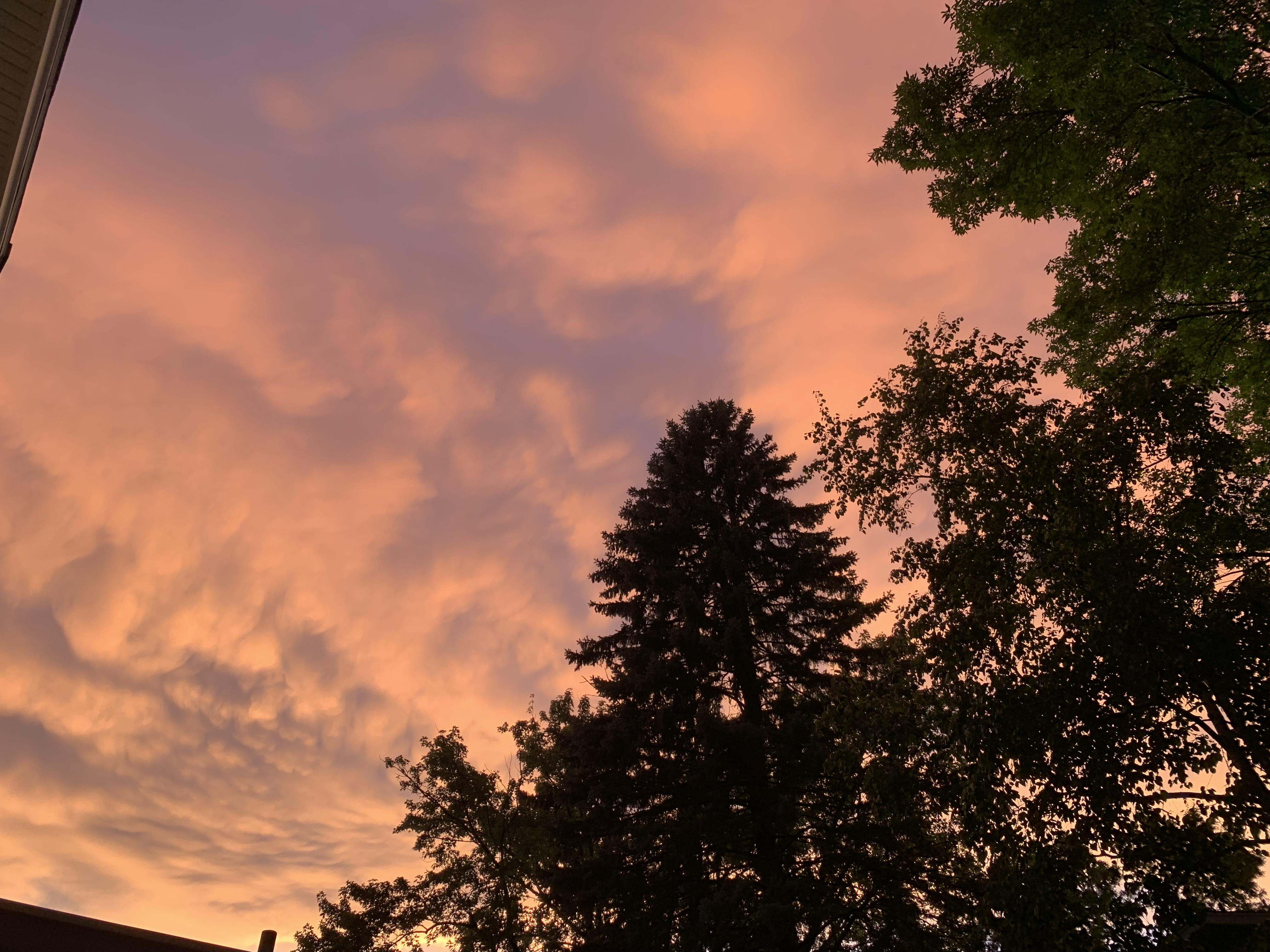 Post storm | Scrolller