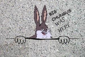 Posting Big Chungus Images until I’m forgiven: Day 108: Big Chungus was here | Scrolller