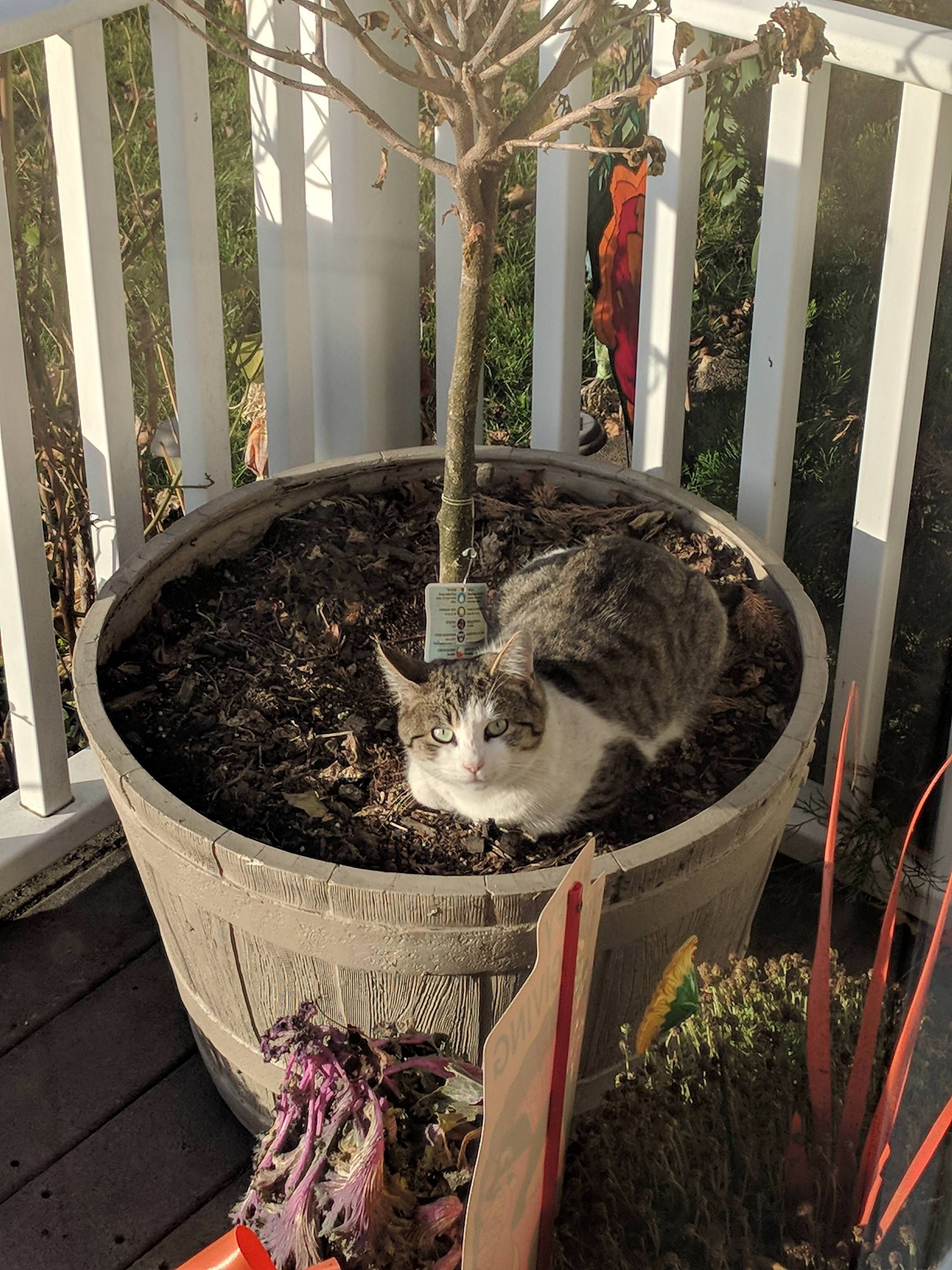 Potted Loaf | Scrolller