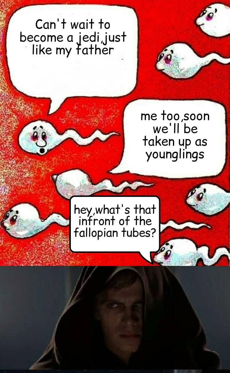 pre-younglings | Scrolller