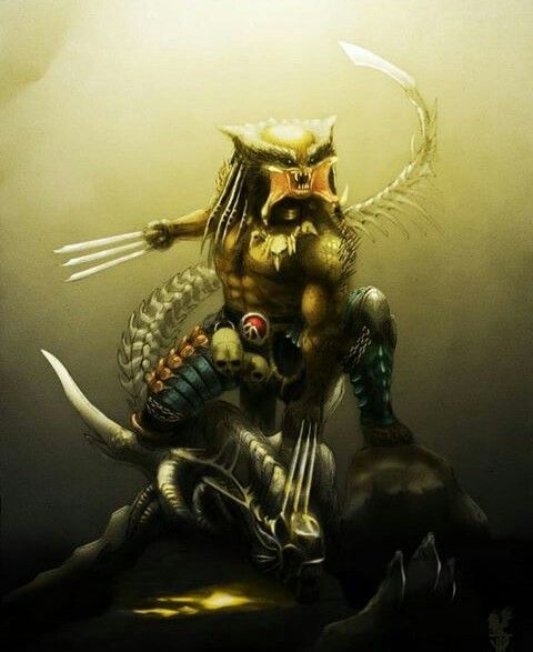 #Predator | Scrolller