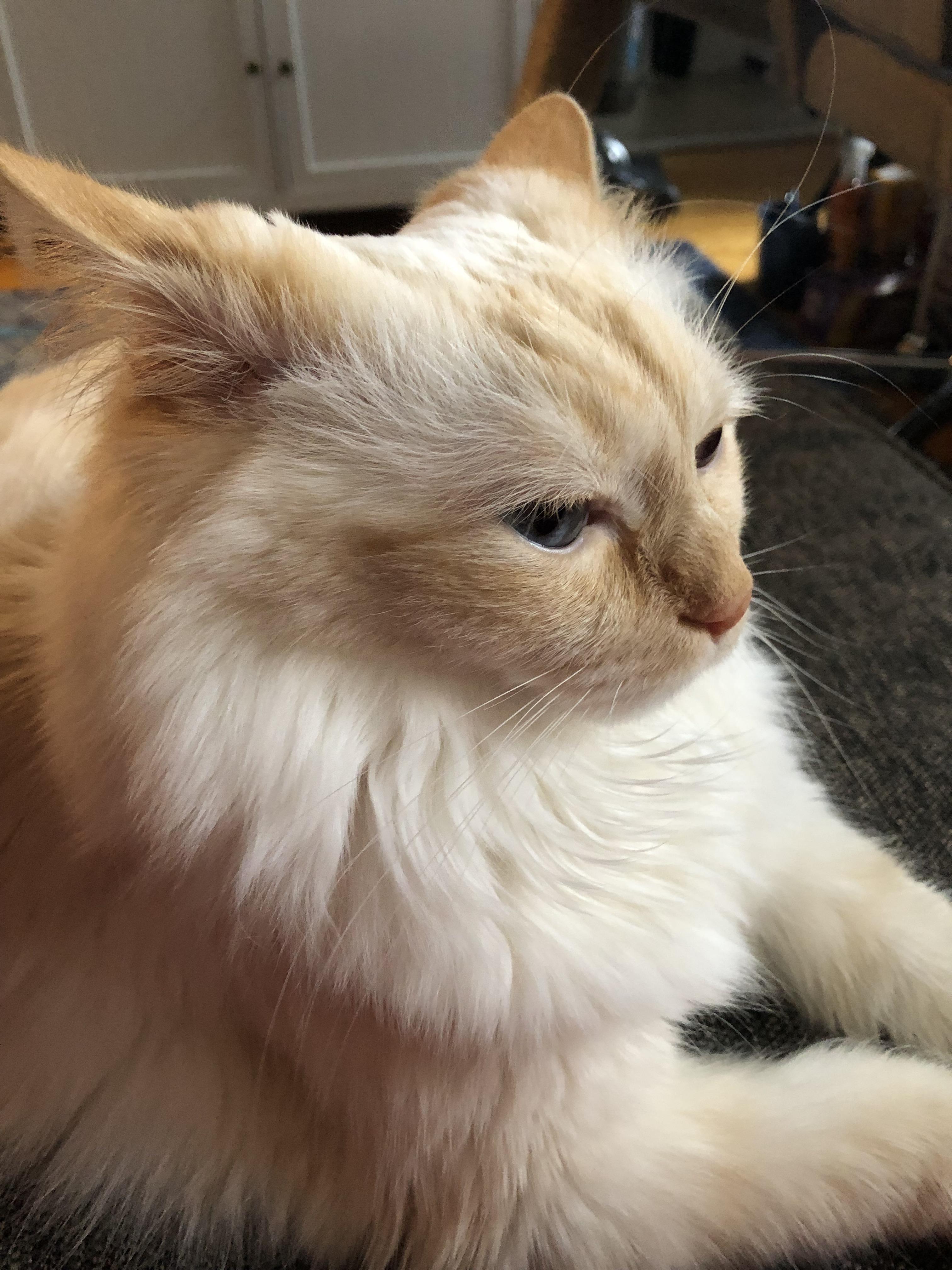 Prepare for takeoff 🛫 | Scrolller