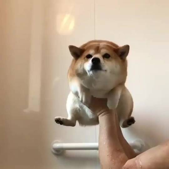 Preparing For Bath Time Scrolller