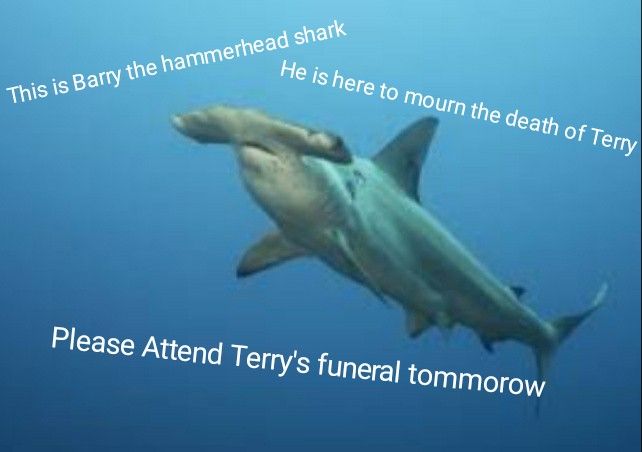 Press f for terry please | Scrolller