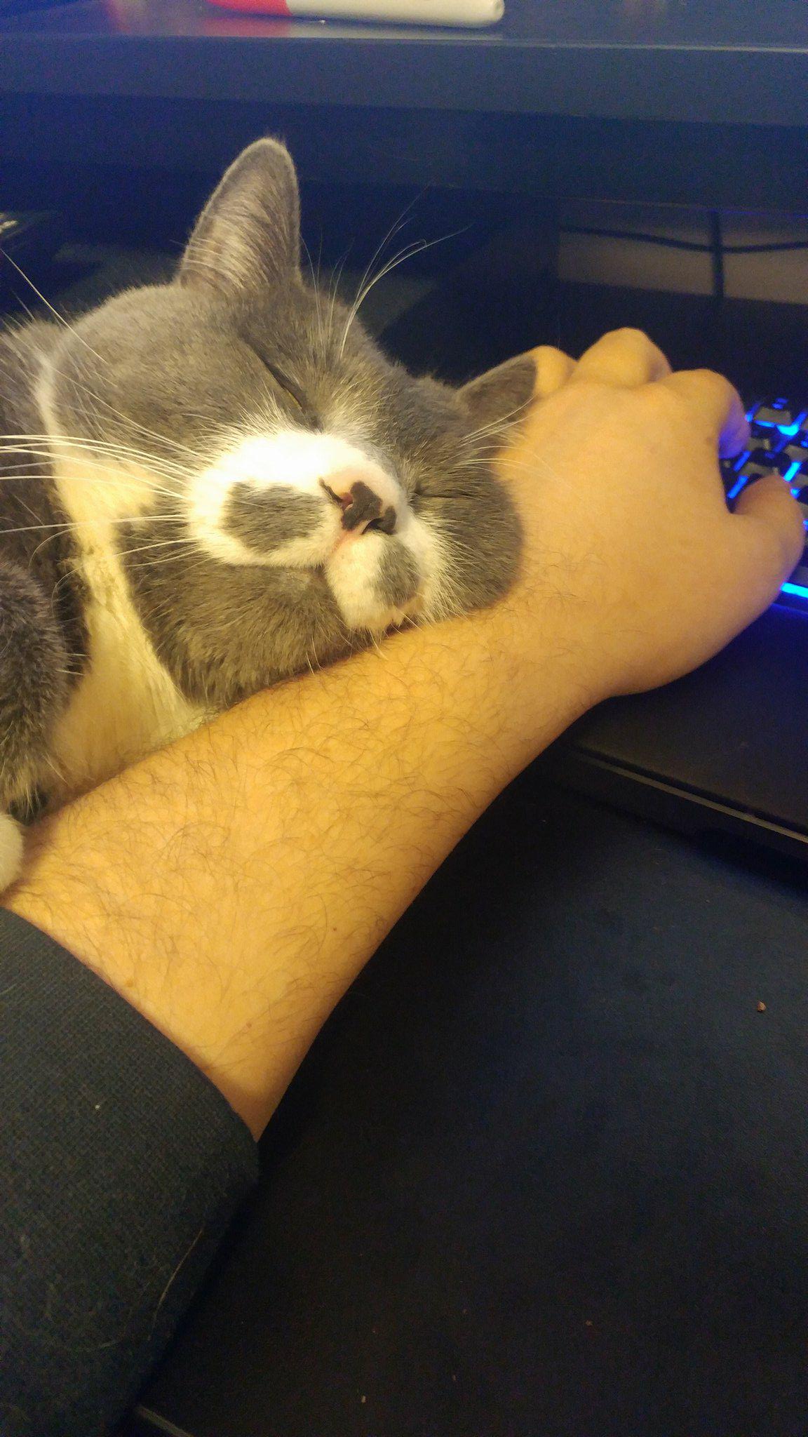 Pretty boy | Scrolller