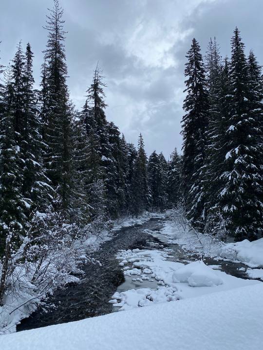 Priest Lake, Idaho | Scrolller