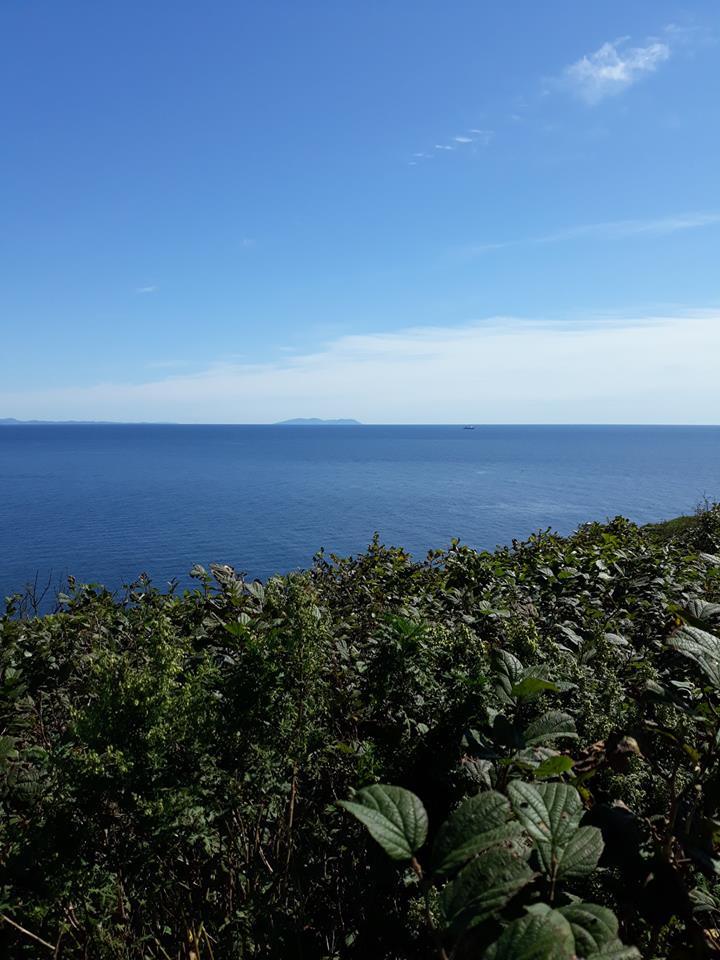 Primorye, the Far East. Russian island [OC] | Scrolller