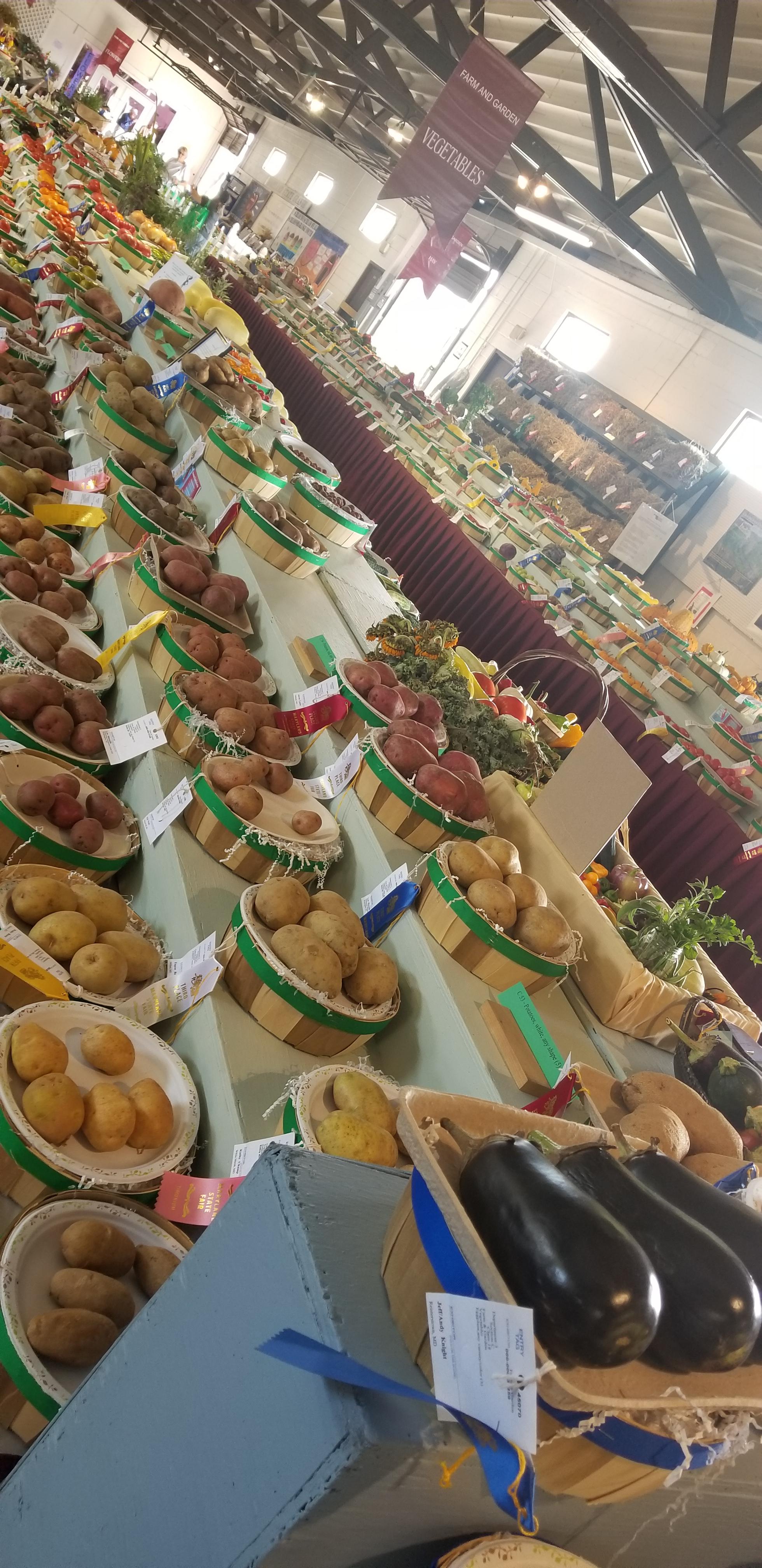 Prized produce at the Maryland State Fair. | Scrolller