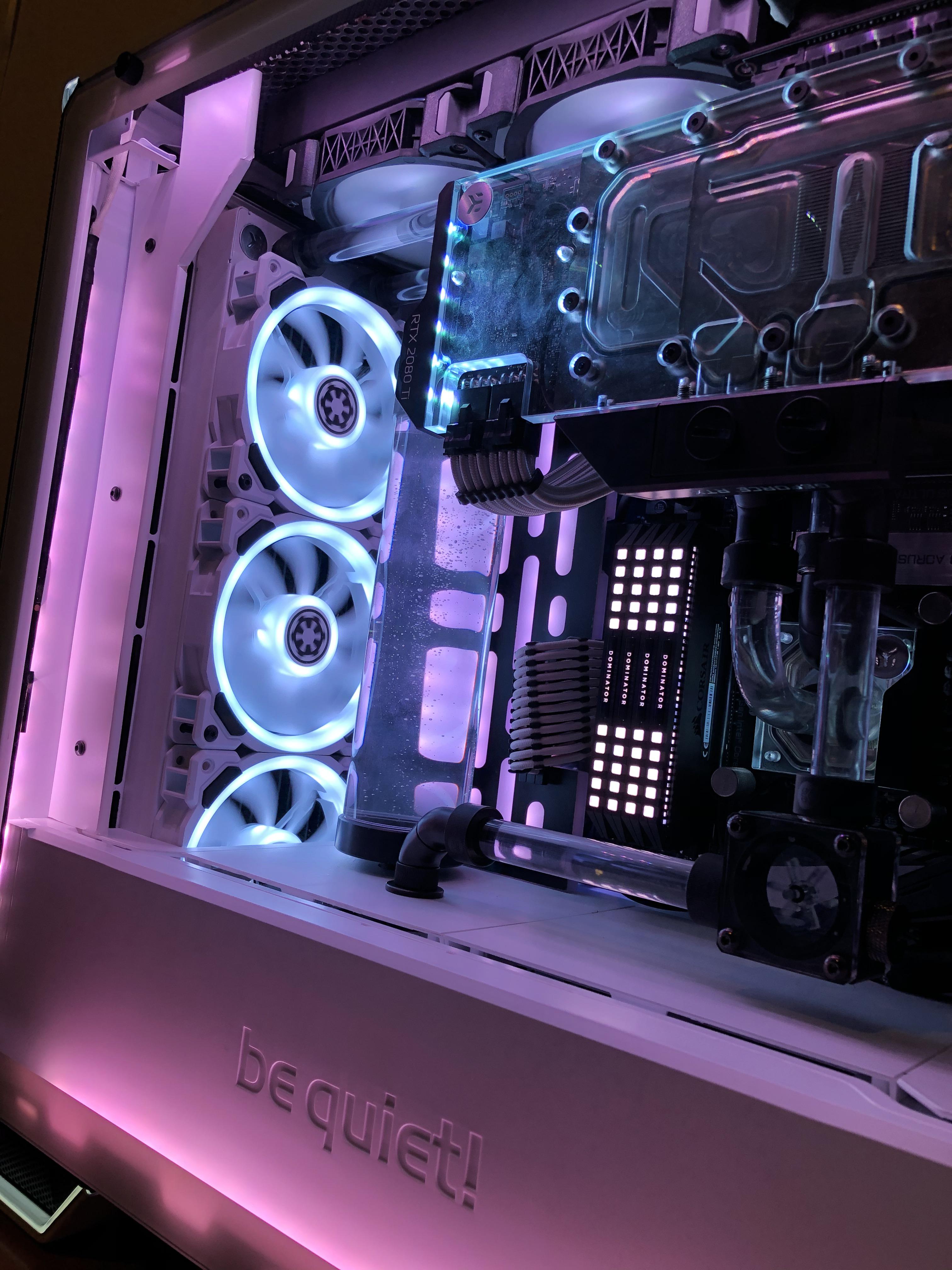 Project TK-556 Complete | Scrolller