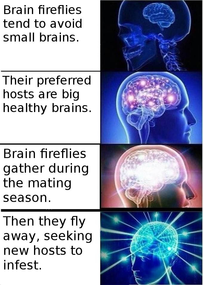 [PSA] 4 facts about brain fireflies | Scrolller