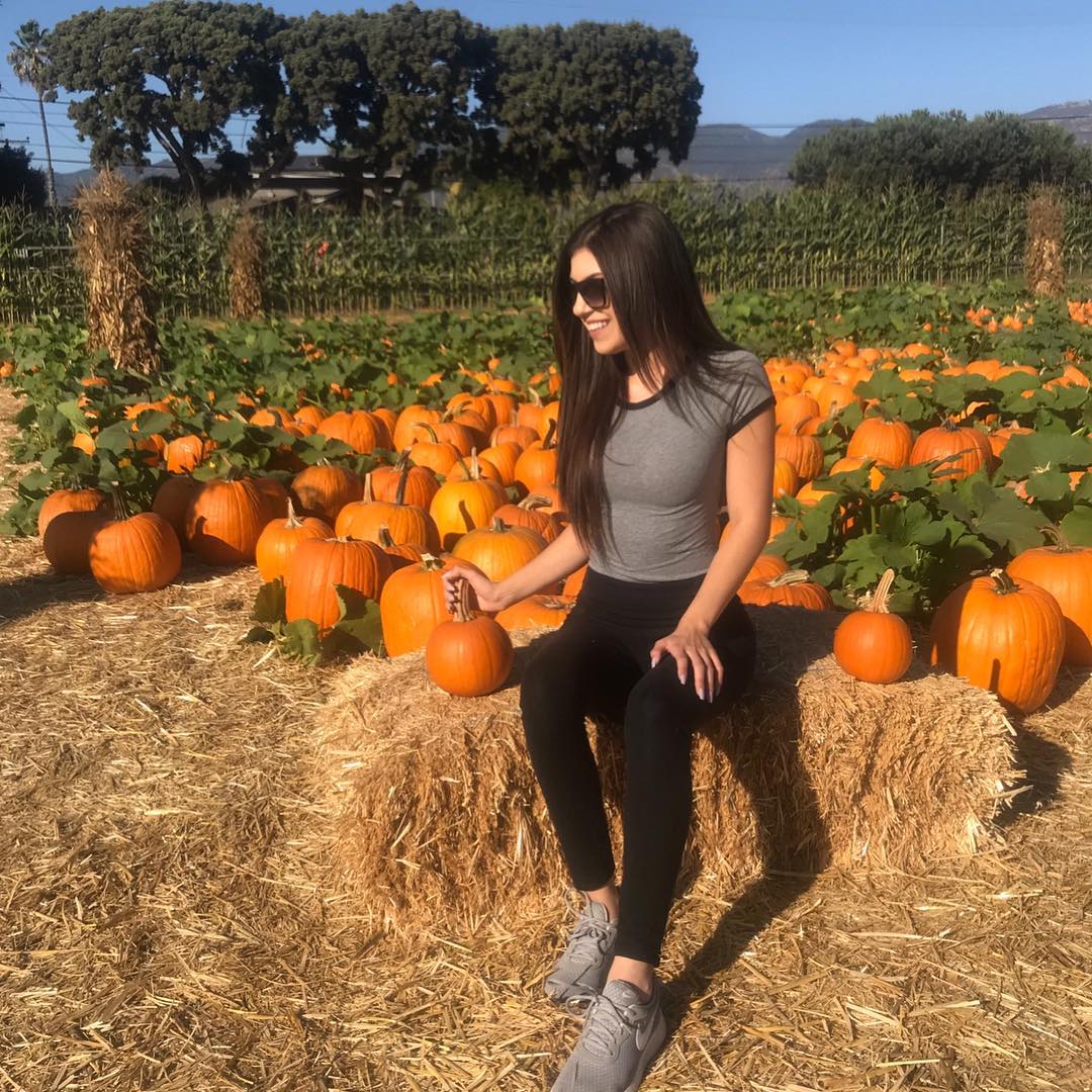 Pumpkin patch | Scrolller