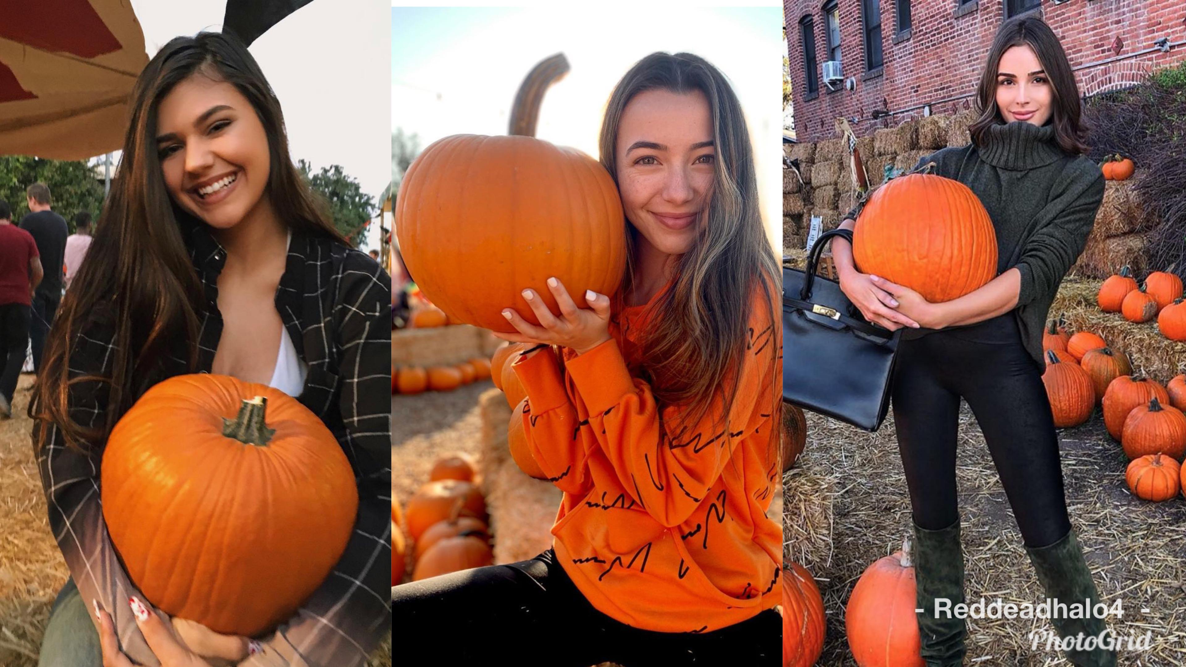 Pumpkin Picking Promises Pleased Petticoats: Amber Frank, Veronica Merrell, Olivia Culpo | Scrolller