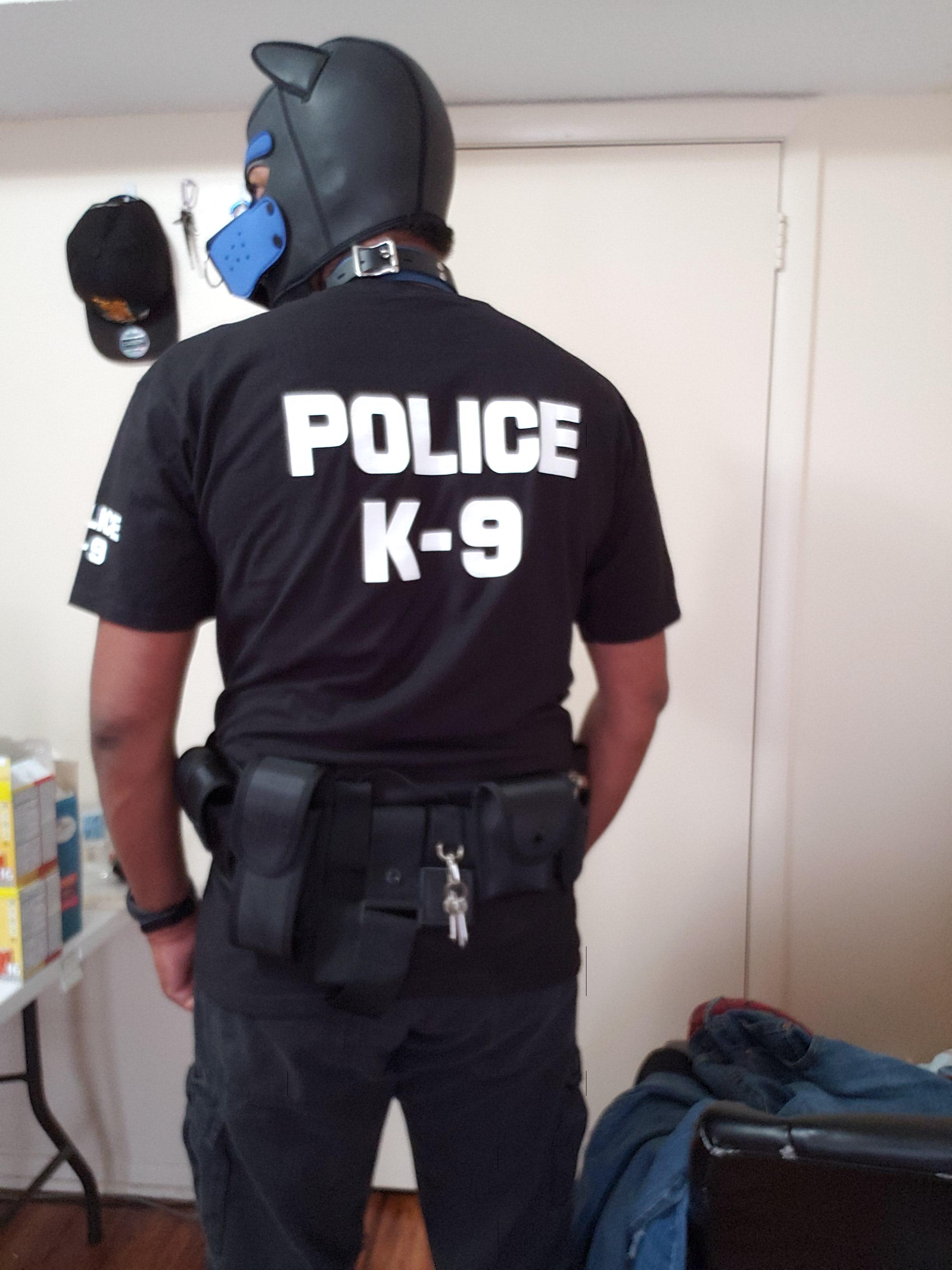 Pup officer Ember reporting in | Scrolller