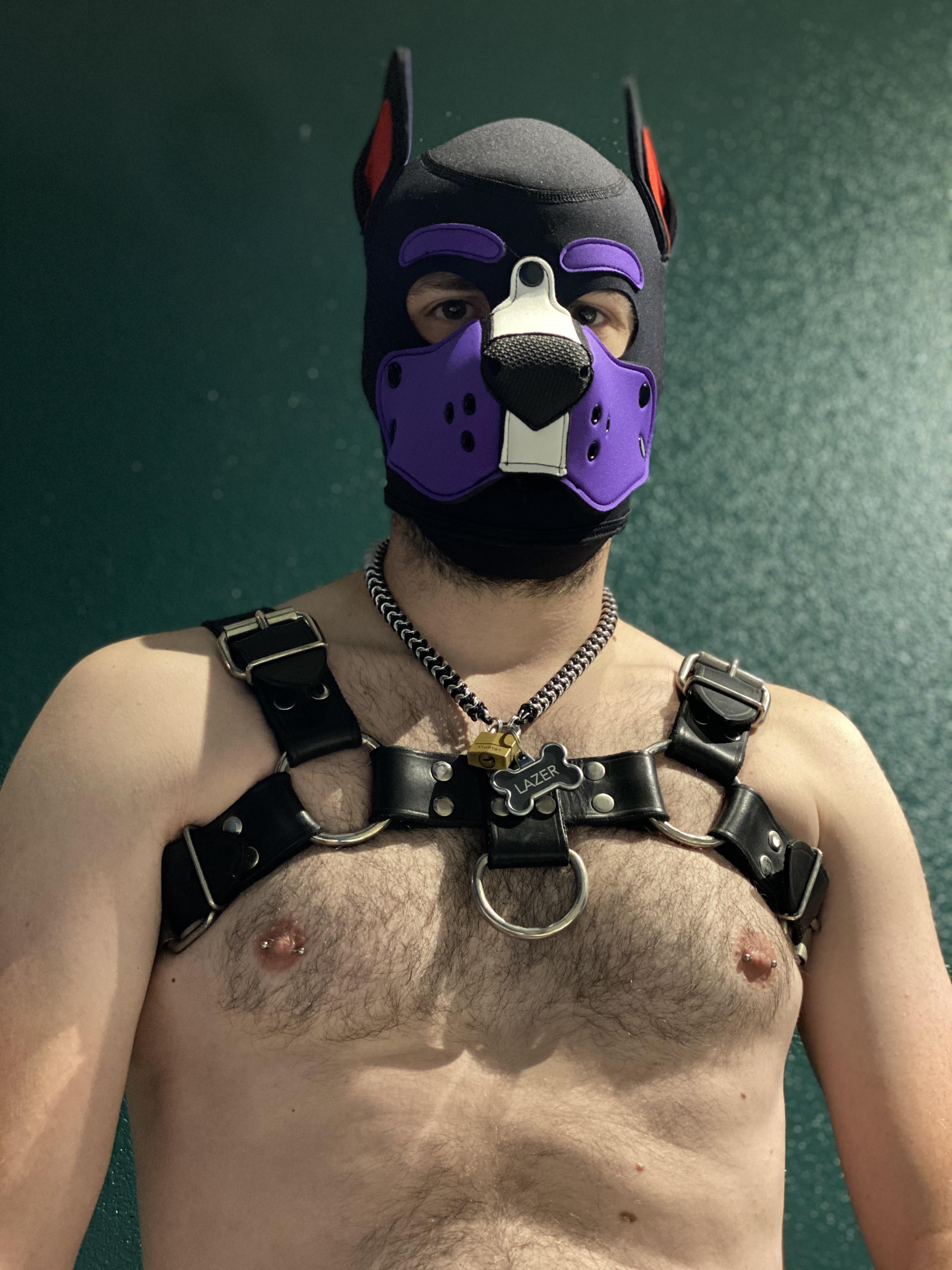 pup’s first post! | Scrolller