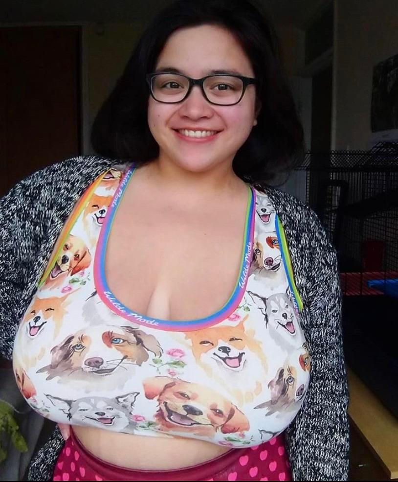 Puppy bra | Scrolller