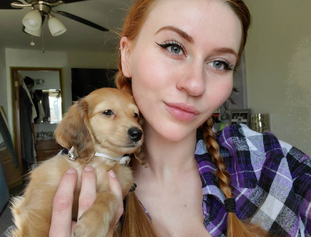 Puppy Rescue | Scrolller