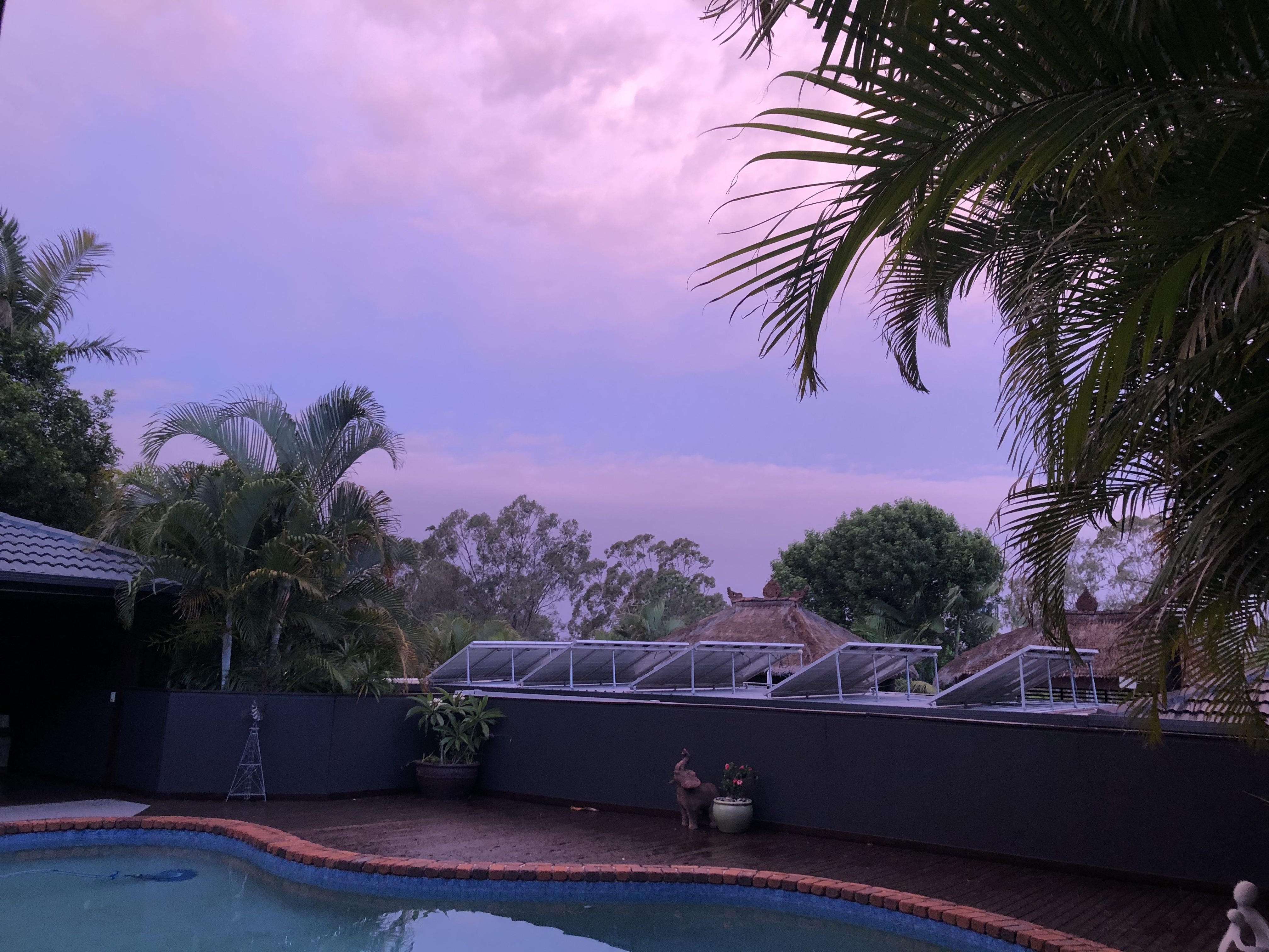 Purple Rain | Scrolller