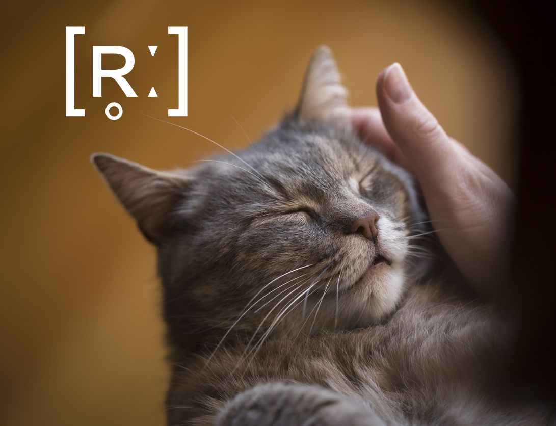 *purrs happily* | Scrolller