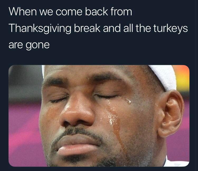 quality homemade meme XD rip turkeys | Scrolller