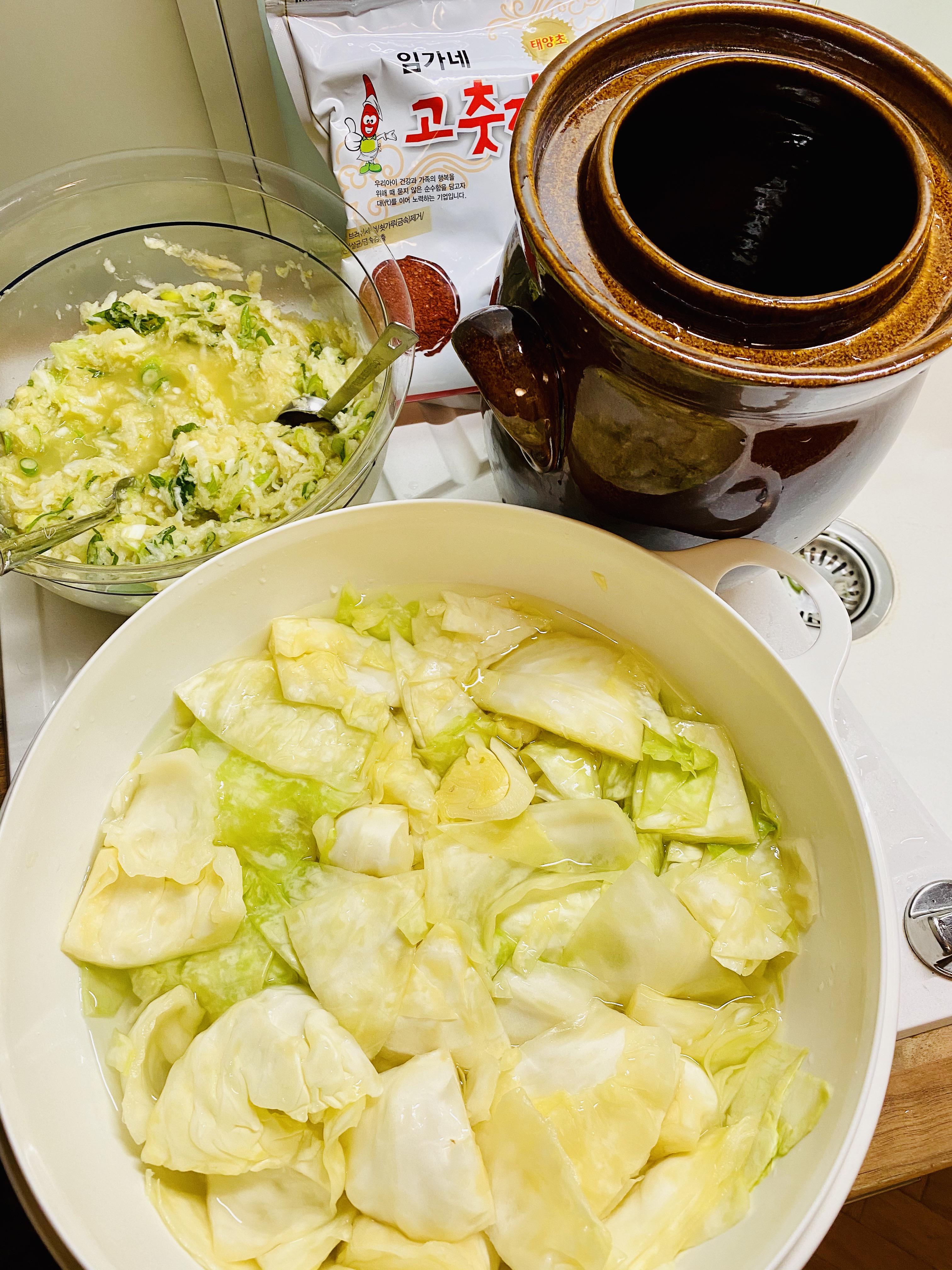 Quarantine Cabbage Kimchi in progress | Scrolller