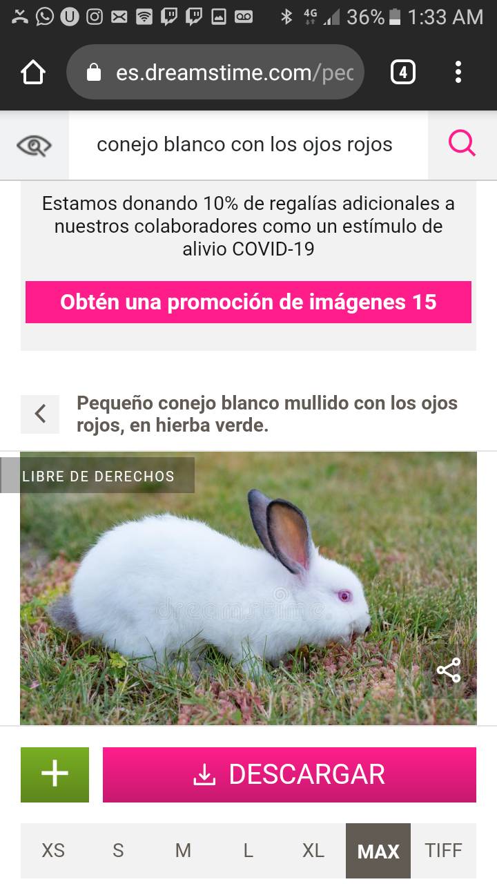 Que raza es?alguien sabe? | Scrolller