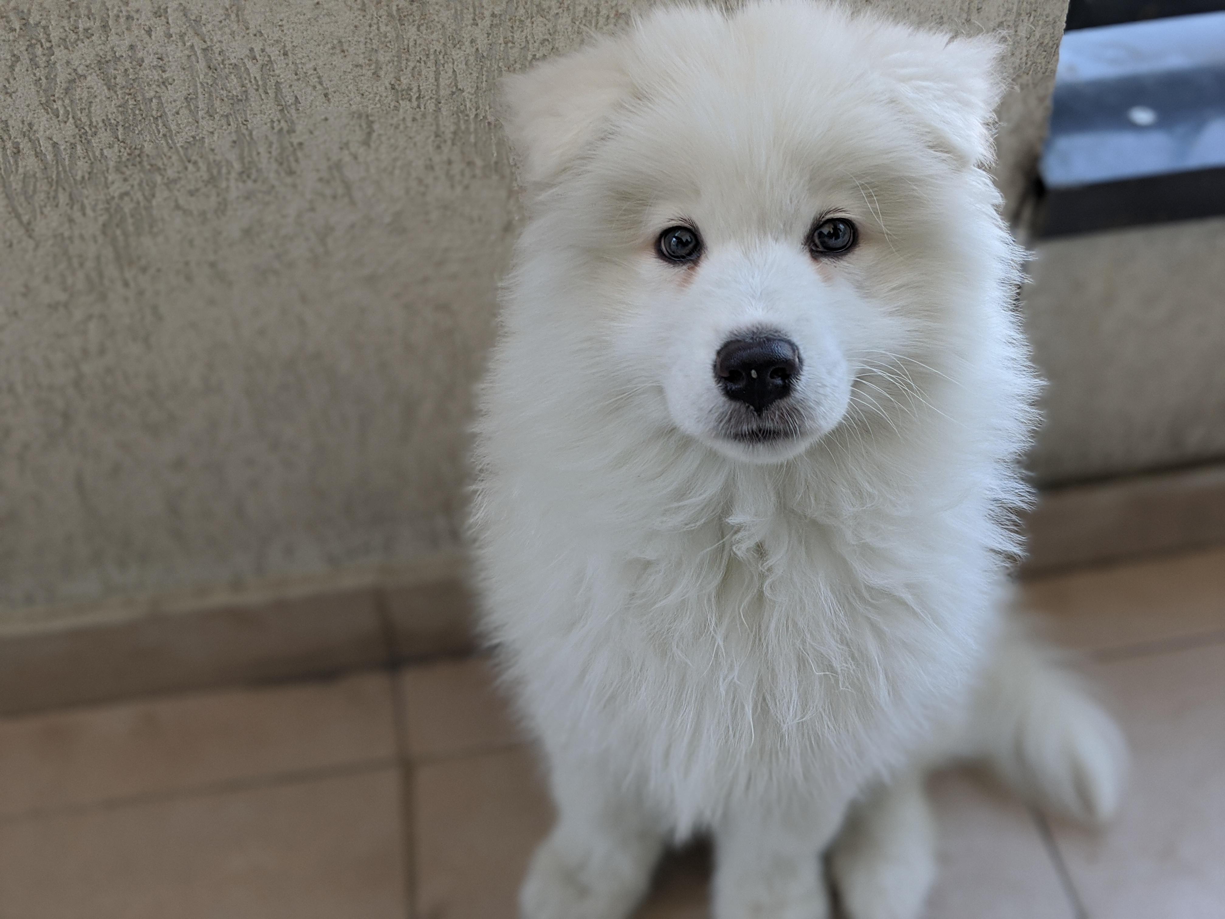 Queen bae 🌠 | Scrolller