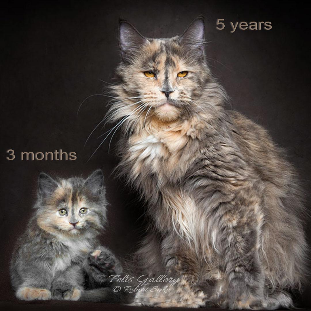 QUELLA five years later. | Scrolller